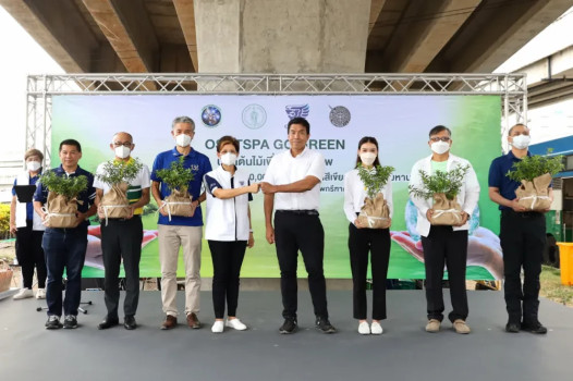 Osotspa Plants 2,500 Trees to Create Green Space as Year-End Present ...